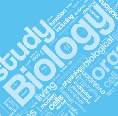 Our Story | The Story of John Snow | John Snow Labs