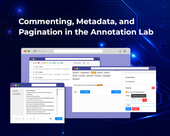 Comments, Metadata, and Pagination in the Annotation Lab - John Snow Labs