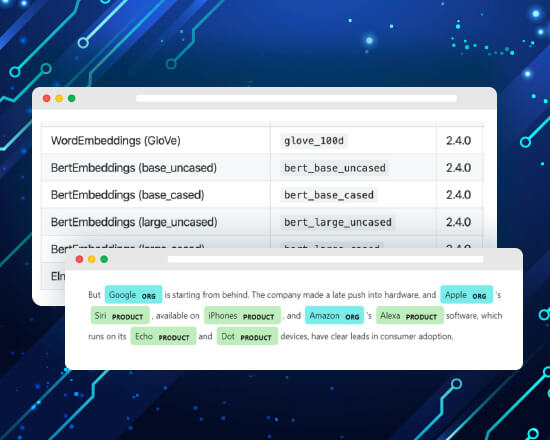 BERT Named Entity Recognition (NER) in Spark NLP | John Snow Labs
