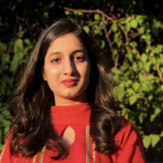 Introduction to Large Language Models (LLMs): An Overview of BERT, GPT, and Other Popular Models ...