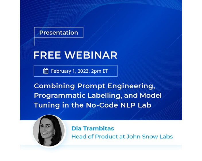 Improved Support for Prompts Engineering and Playground's Experiments in NLP Lab - John Snow Labs