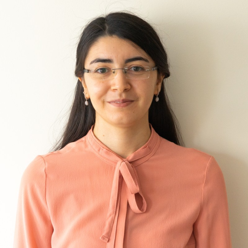 Meryem Vildan Sarikaya's Blog | John Snow Labs