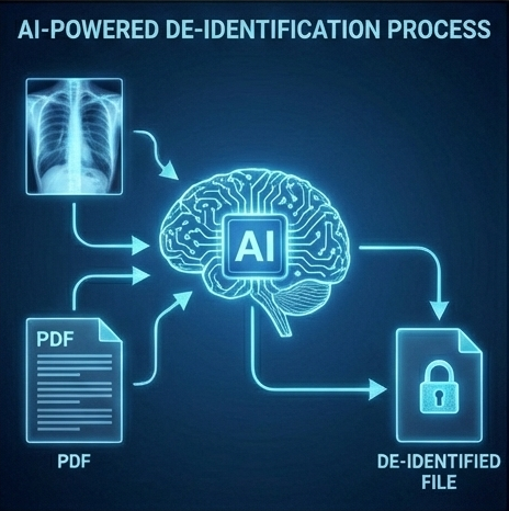 End-to-End Visual De-Identification for Medical Images & PDFs in ...